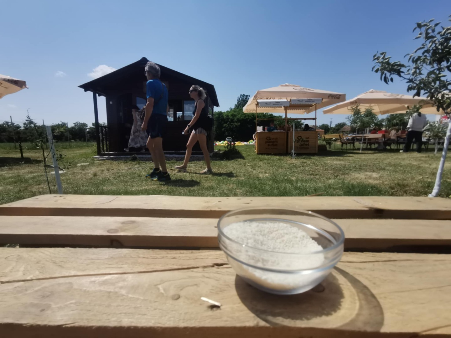 Festivalul Orezului revine la Partoș: „Vom avea și varză cu orez”